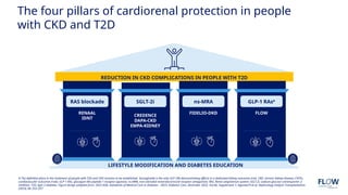 2. dr. Nanang - New Data from FLOW Trial_What Can We Learn About ...