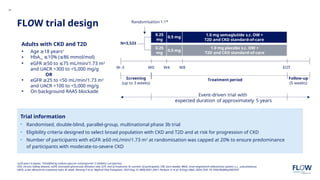 2. dr. Nanang - New Data from FLOW Trial_What Can We Learn About ...