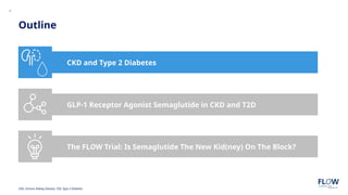 2. dr. Nanang - New Data from FLOW Trial_What Can We Learn About ...