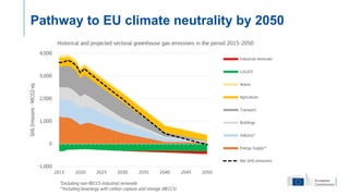 9th Strategic Dialogue of the Carbon Market Platform - Giulio Volpi | PDF