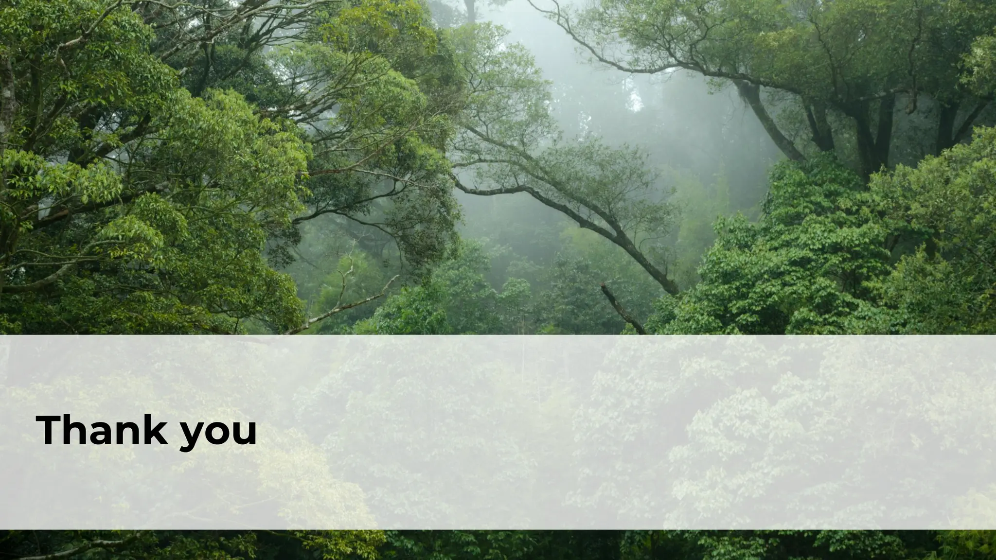 9th Strategic Dialogue of the Carbon Market Platform - Imogen Long | PPT