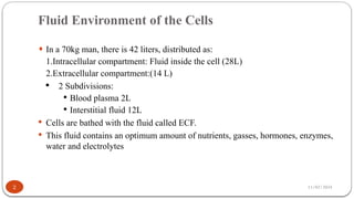 1.Internal and external fluid 2. homeostasis | PPT