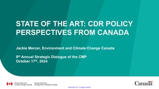 9th Strategic Dialogue of the Carbon Market Platform - Jackie Mercer | PPT