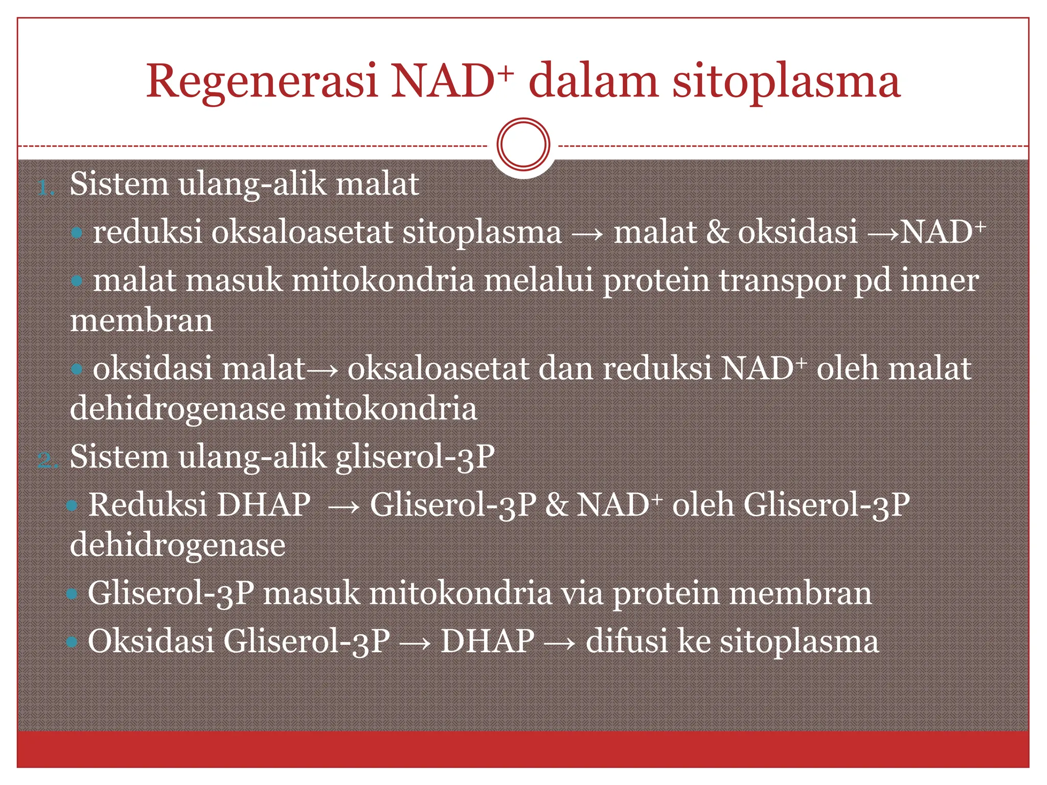 Proses katabolisme karbohidrat dalam organisme | PPT