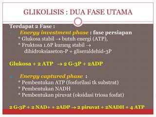 Proses katabolisme karbohidrat dalam organisme | PPT
