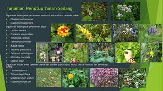 PENGENDALIAN EROSI, METODE VEGETATIF.pdf