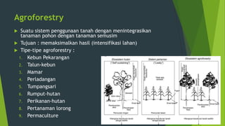PENGENDALIAN EROSI, METODE VEGETATIF.pdf