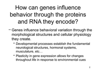 Chapter 2. Genetics and Animal Behavior.pptx