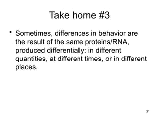 Chapter 2. Genetics and Animal Behavior.pptx | Free Download