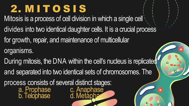 MITOSIS_General_Biology_1_Quarter_2_lesson_2.pdf