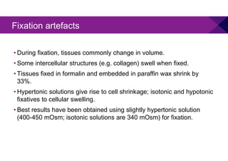 Fixation Histopathologyyyyyyyyyyyyyyyyyyyyyyyyyyyyy | PPT