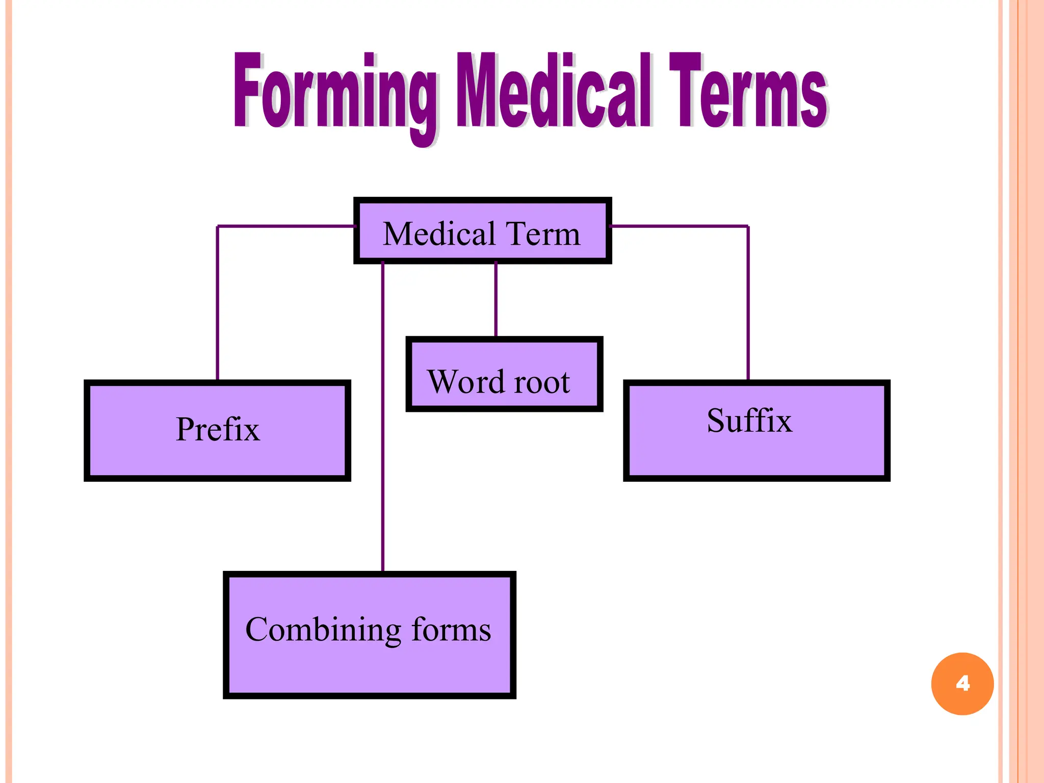 introduction to principles of medical terminology .ppt