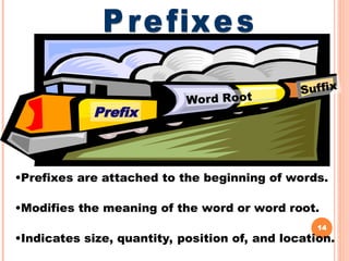 introduction to principles of medical terminology .ppt