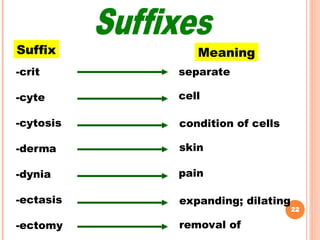 introduction to principles of medical terminology .ppt