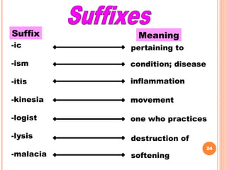 introduction to principles of medical terminology .ppt
