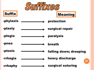 introduction to principles of medical terminology .ppt