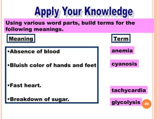 introduction to principles of medical terminology .ppt