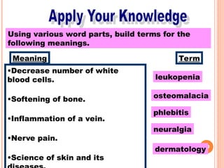 introduction to principles of medical terminology .ppt