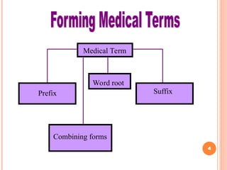 introduction to principles of medical terminology .ppt