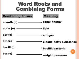 introduction to principles of medical terminology .ppt