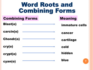 introduction to principles of medical terminology .ppt
