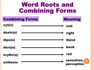 introduction to principles of medical terminology .ppt