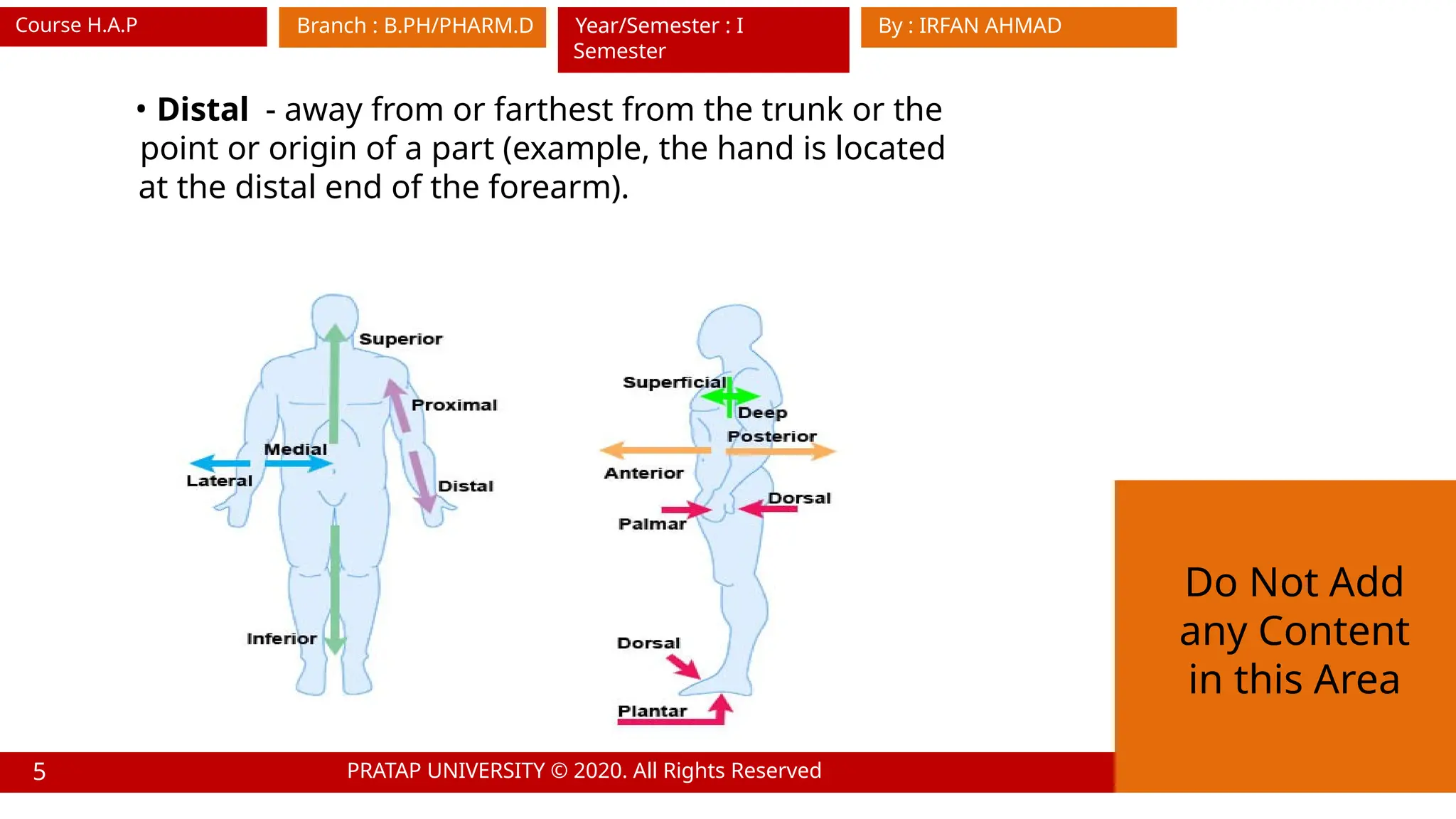2. Basic Anatomical Terminology ppt .pptx