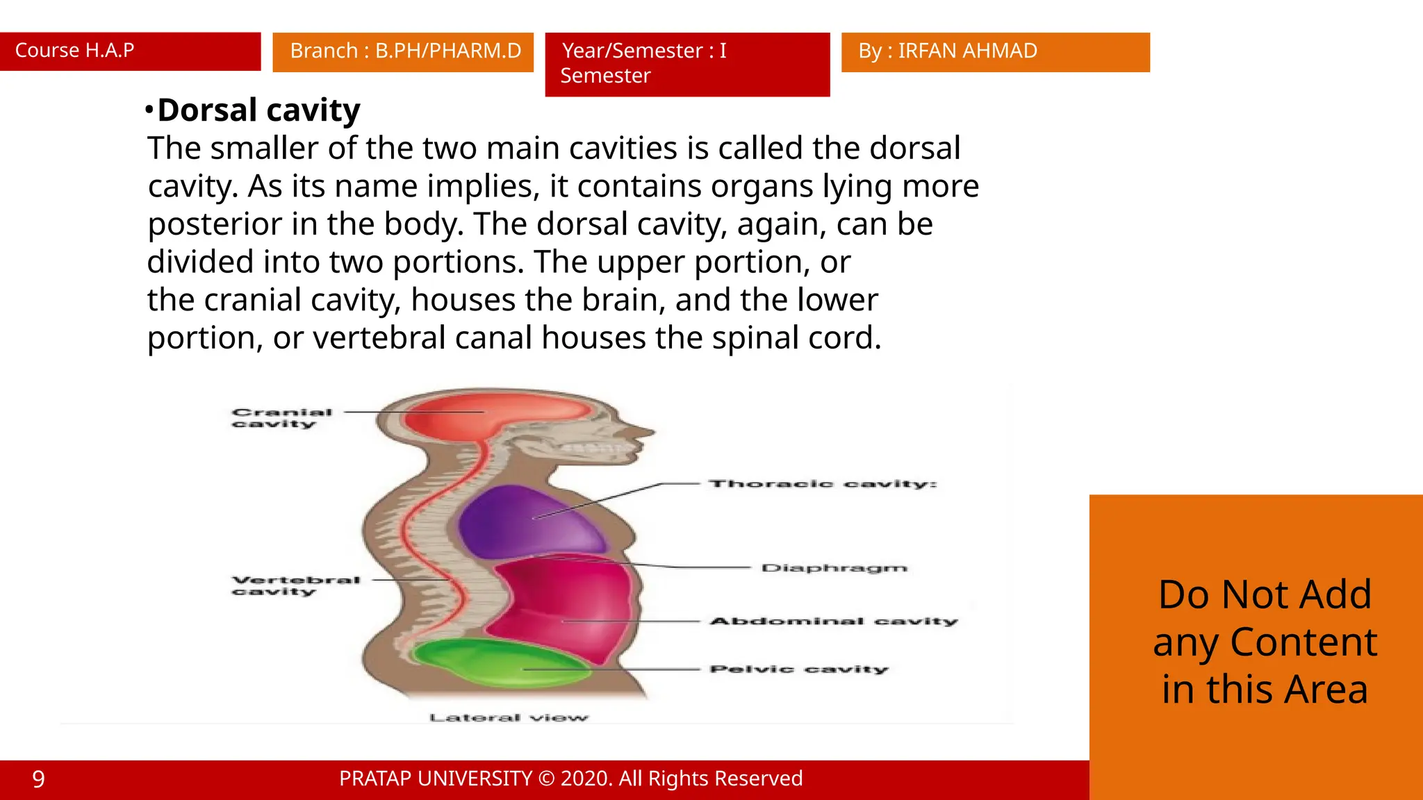 2. Basic Anatomical Terminology ppt .pptx