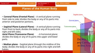 2. Basic Anatomical Terminology ppt .pptx