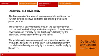 2. Basic Anatomical Terminology ppt .pptx