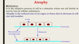 2. General Adaptation, Cell injury and cell death.pptx