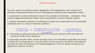 2. General Adaptation, Cell injury and cell death.pptx
