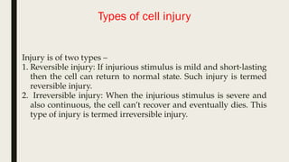 2. General Adaptation, Cell injury and cell death.pptx