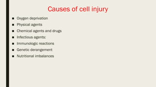 2. General Adaptation, Cell injury and cell death.pptx