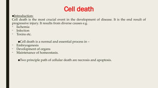 2. General Adaptation, Cell injury and cell death.pptx