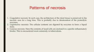 2. General Adaptation, Cell injury and cell death.pptx