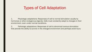 2. General Adaptation, Cell injury and cell death.pptx