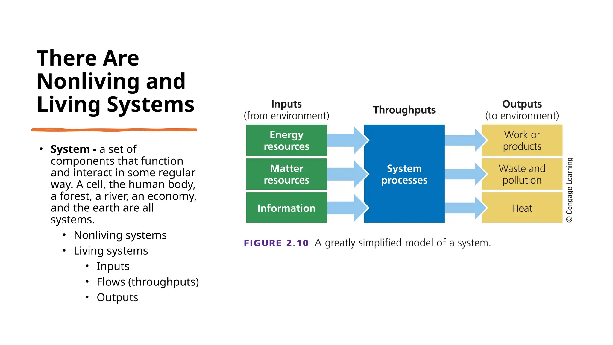 2. Science, Matter, Energy, and Systems.pptx