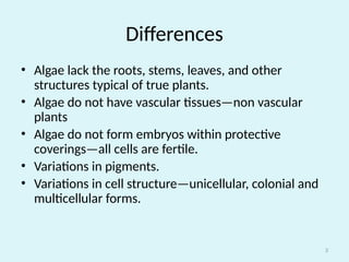 2.cellular arrangement of of algae.pptx for b.sc student | PPTX