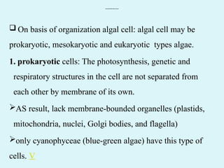 2.cellular arrangement of of algae.pptx for b.sc student | PPTX