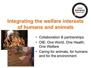Welfare Interests of human and the animals | PDF