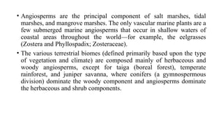 2.Angiosperm Education University D.G Khan | PPT