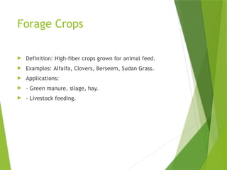 2.Agronomic Crops. Their types and uses. | PPTX