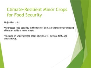 2.Agronomic Crops. Their types and uses. | PPTX