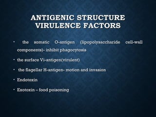 Сальмонеллез 2.pptnnnnnnmmmmmmmmmmmmmmmmm | PPT