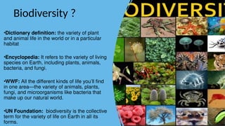 2.2 - Benefits of agricultural biodiversity - RK.pptx