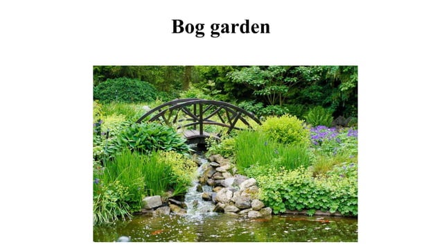 2. Garden features in a land scape garden.pptx