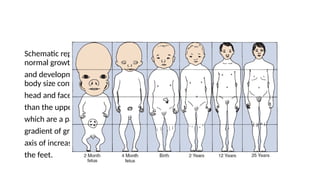 Concepts of growth and development in orthodontic | PPTX