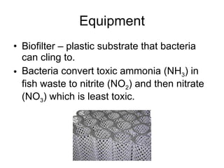 Aquaculture Systems | PPT