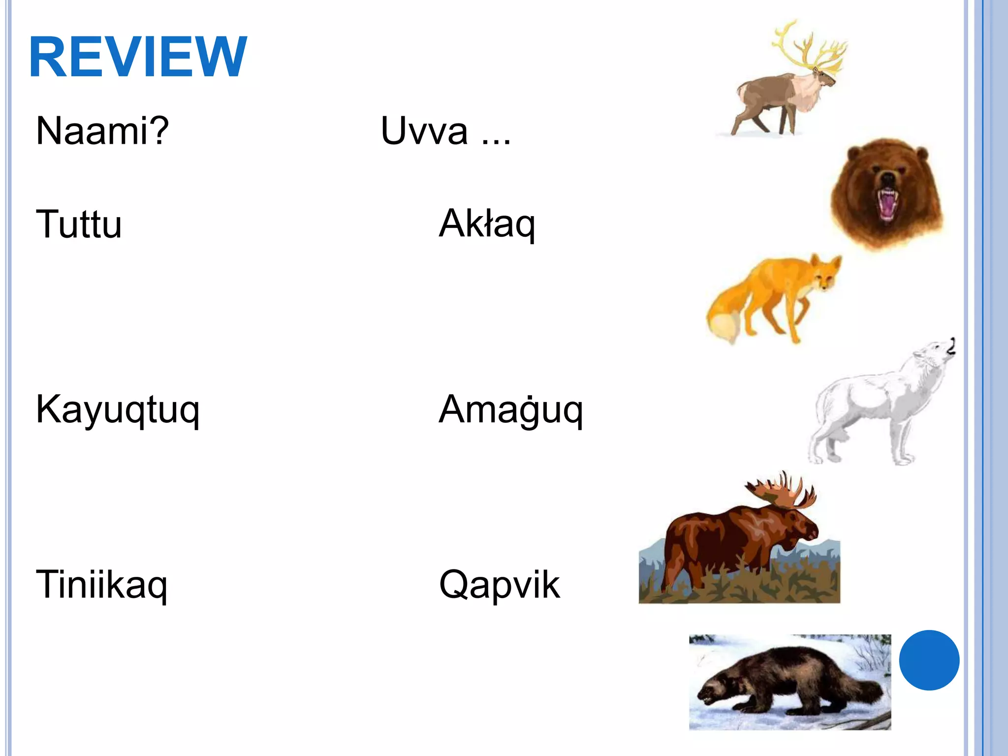 Introduction to IÑUPIAQ eskimo | PPTX
